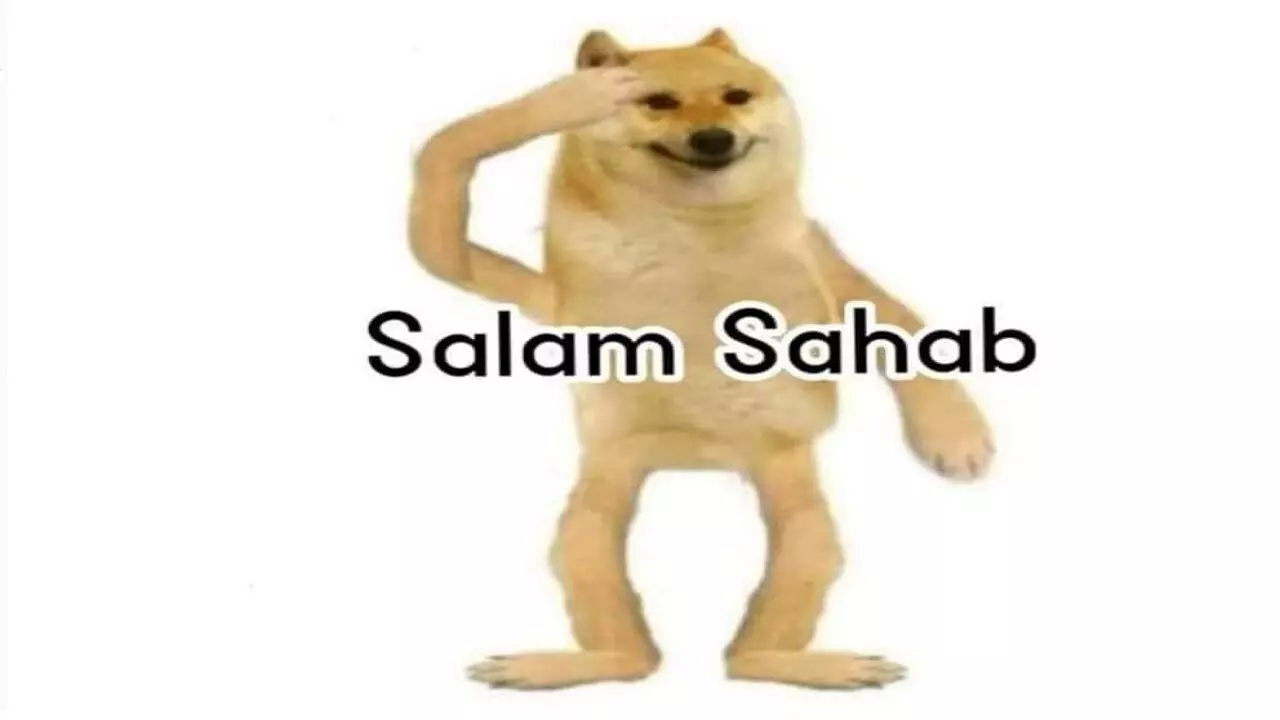 Cheems & Doge Meme:क्या है चीम्स और डौगी मीम जिसके पीछे एलोन मस्क भी ...