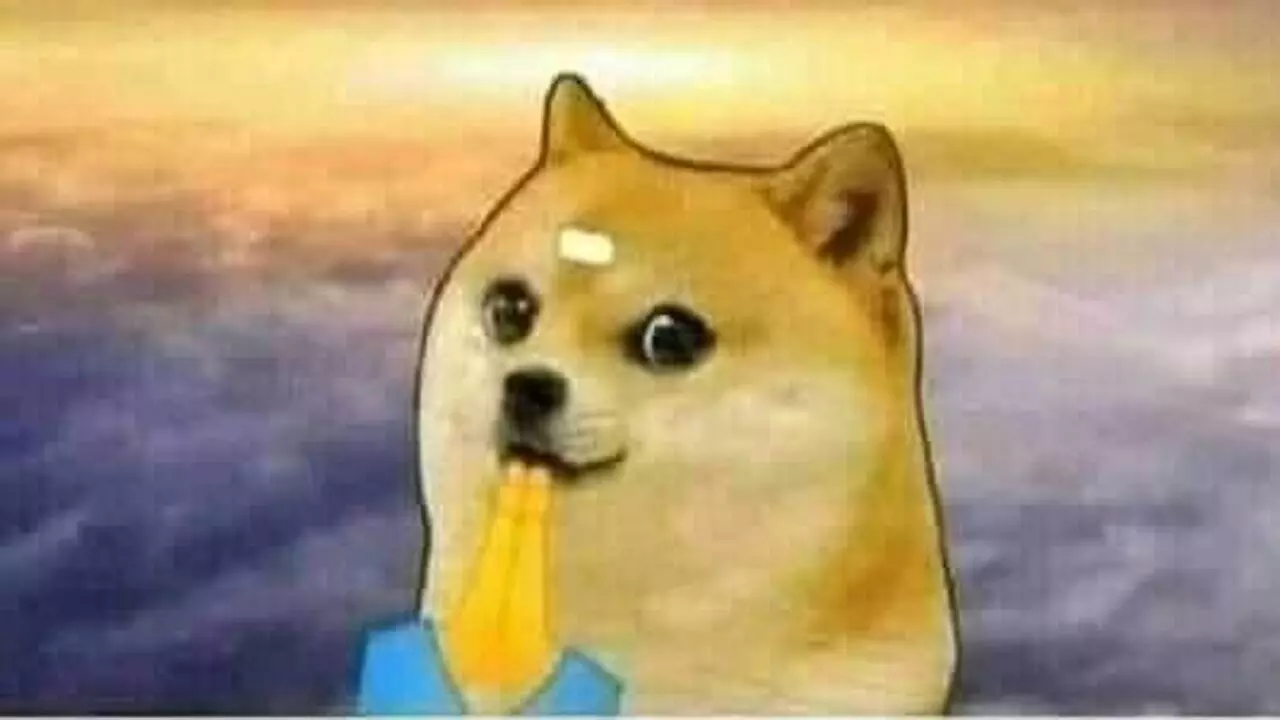 Cheems & Doge Meme:क्या है चीम्स और डौगी मीम जिसके पीछे एलोन मस्क भी ...