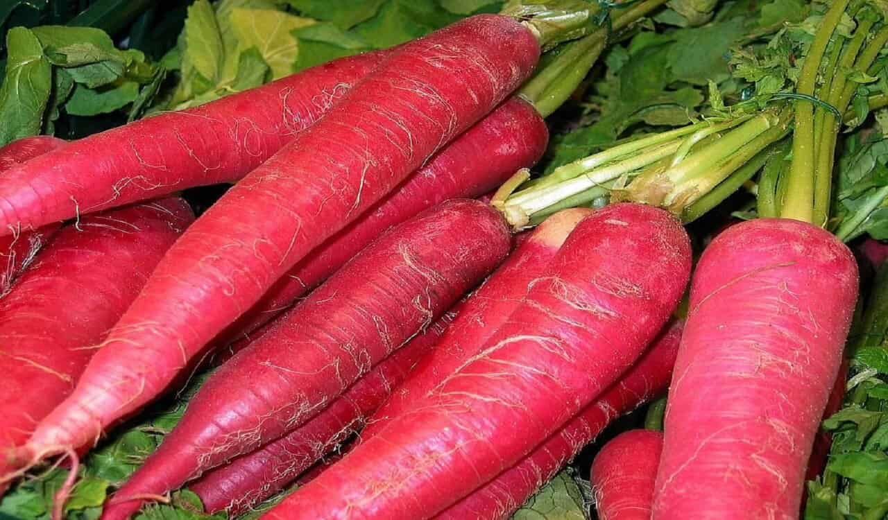 लाल मूली के फायदे: Laal Mooli Ke Faayde | Benefits of red radish