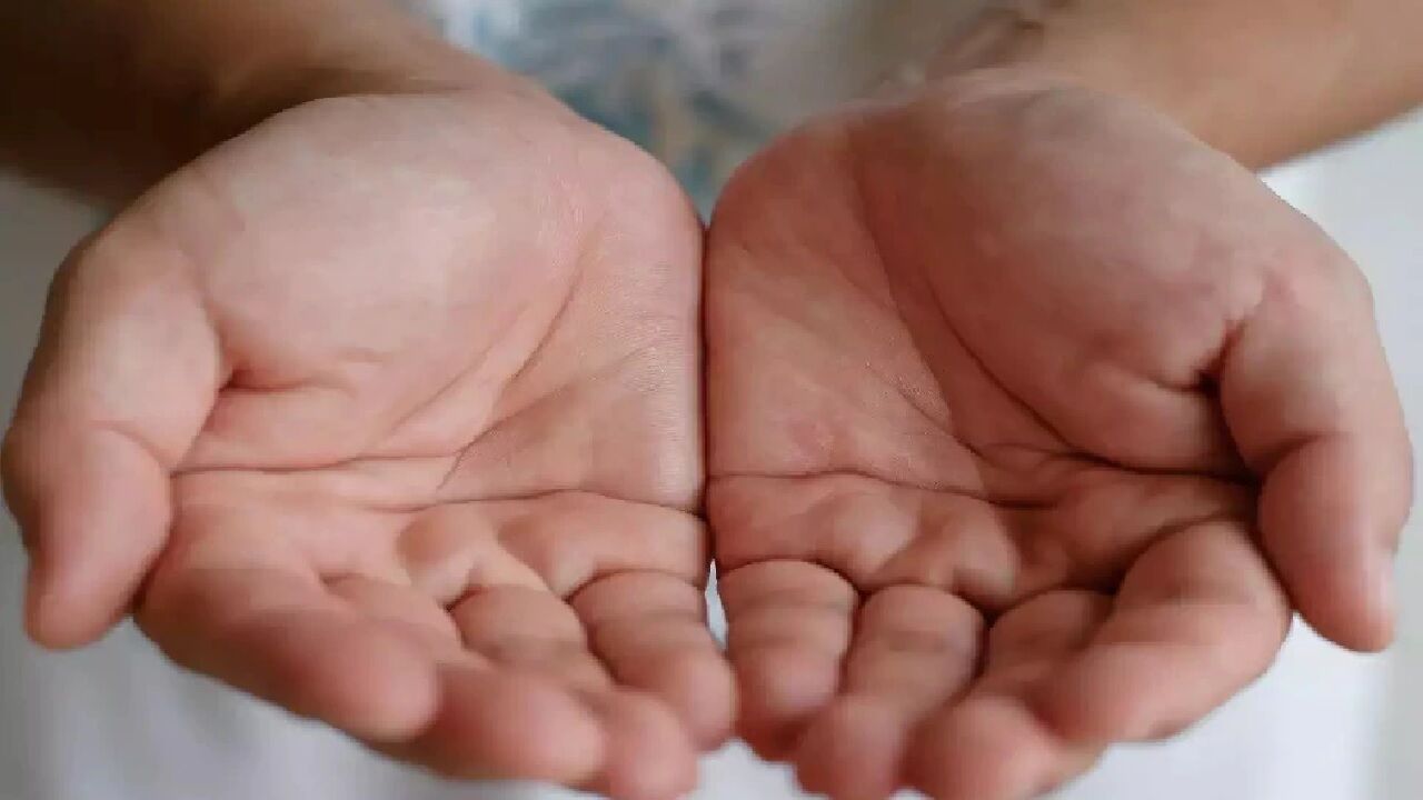 हांथ की ये रेखा बताती हैं कैसा होगा जीवन का सफर, किस क्षेत्र में मिलेगी ...