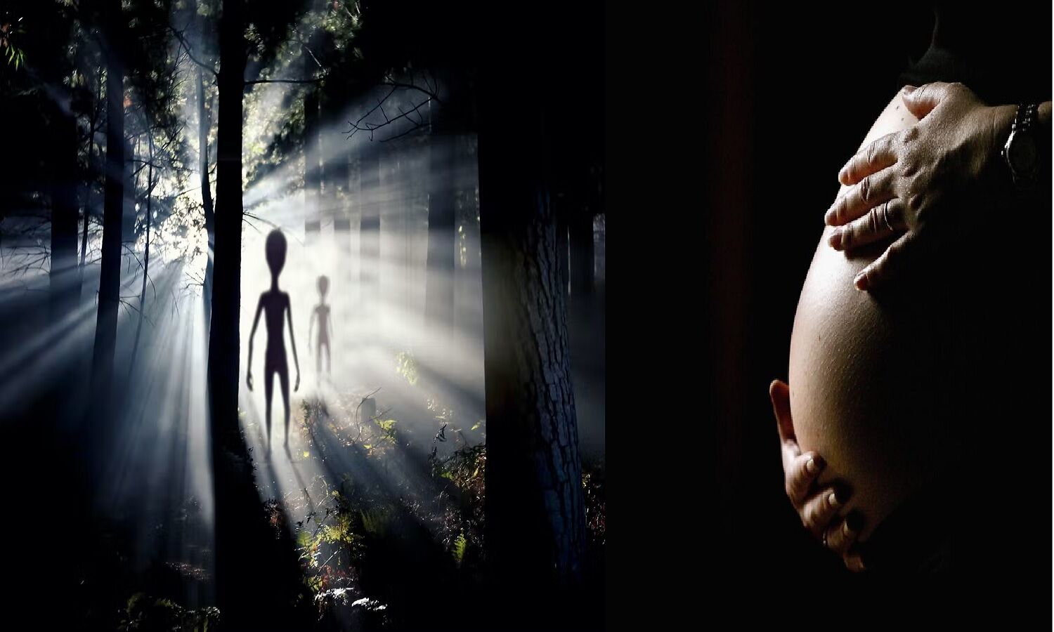 अमेरिकी एजेंसियो का दावा: 5 महिलाओं की कोख़ में एलियंस के बच्चे ...