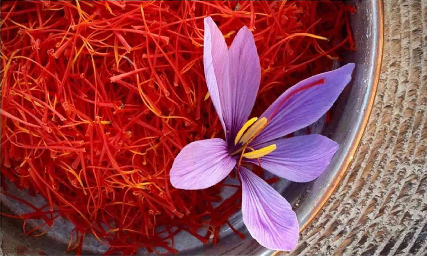 Keshar Ke Totke: केसर के टोटके से खुल जाएगी आपकी किस्मत, नाभि और मस्तिक ...