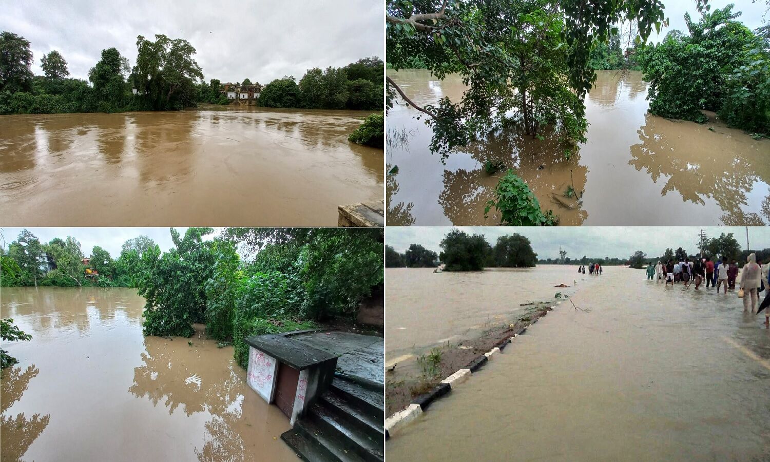 REWA: क्या रीवा में फिर से बाढ़ आने वाली है? जानें कब-कब रीवा में आई ...