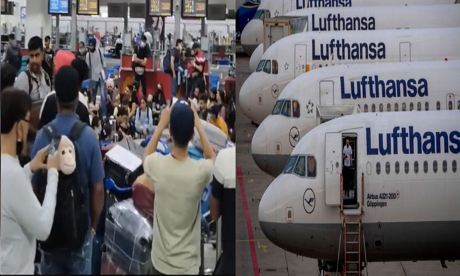 Lufthansa Pilot Strike: पायलट्स की हड़ताल से लुफ्थांसा की 800 फ्लाइट ...