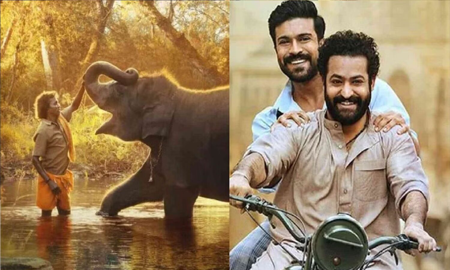 RRR को Natu-Natu के लिए Best Original Song और The Elephant Whisperers ...