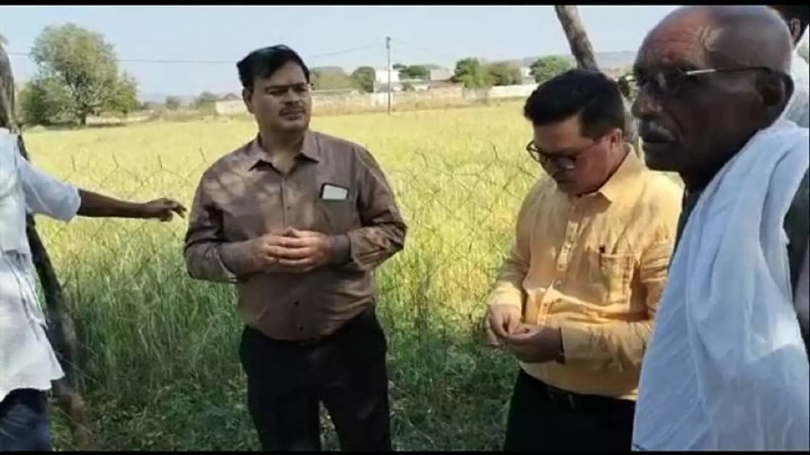 रीवा में राजस्व अधिकारियों ने वर्षा एवं ओला प्रभावित गांवों का किया भ्रमण, देखी फसल क्षति की ...