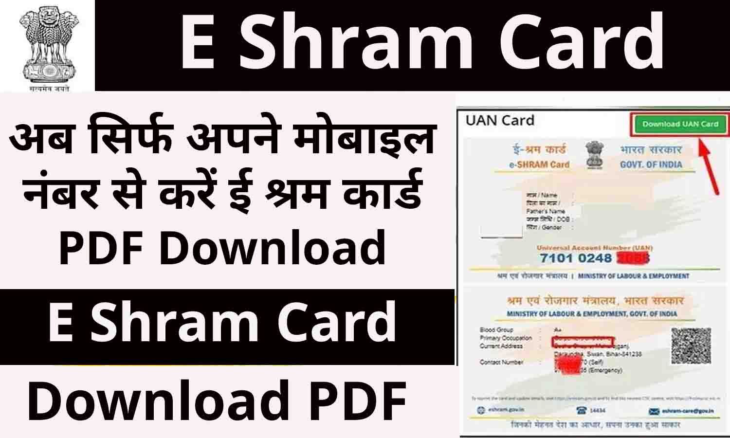 E Shram Card Download By Mobile Number: अब सिर्फ अपने मोबाइल नंबर से करें ई श्रम कार्ड PDF ...
